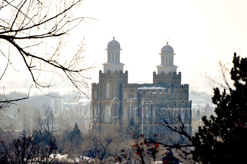 Marilyn C Photography: Logan Utah LDS Temple in Winter